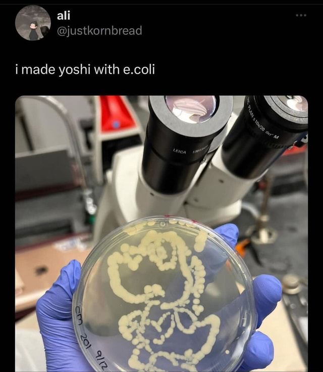 I made yoshi with e.coli - iFunny
