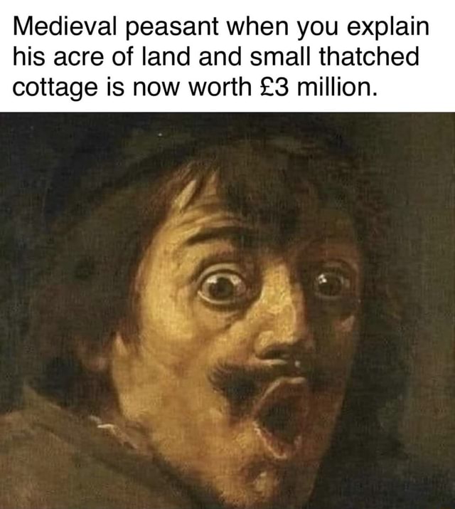 Medieval peasant when you explain his acre of land and small thatched ...