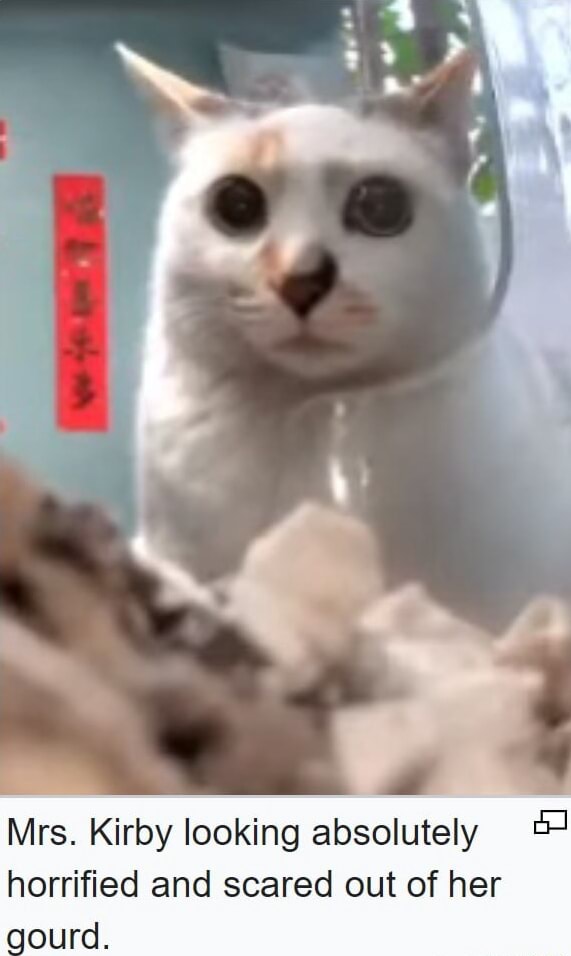 Mrs. Kirby looking absolutely horrified and scared out of her gourd ...