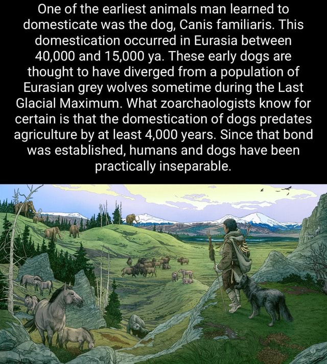 One of the earliest animals man learned to domesticate was the dog ...