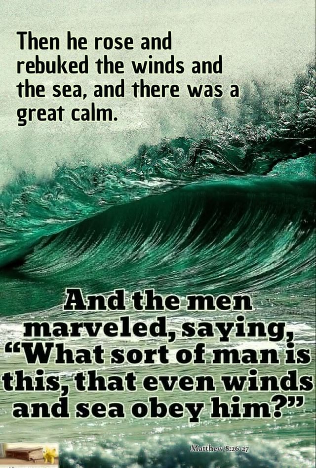 Then he rose and rebuked the winds and the sea, and there was a, great ...
