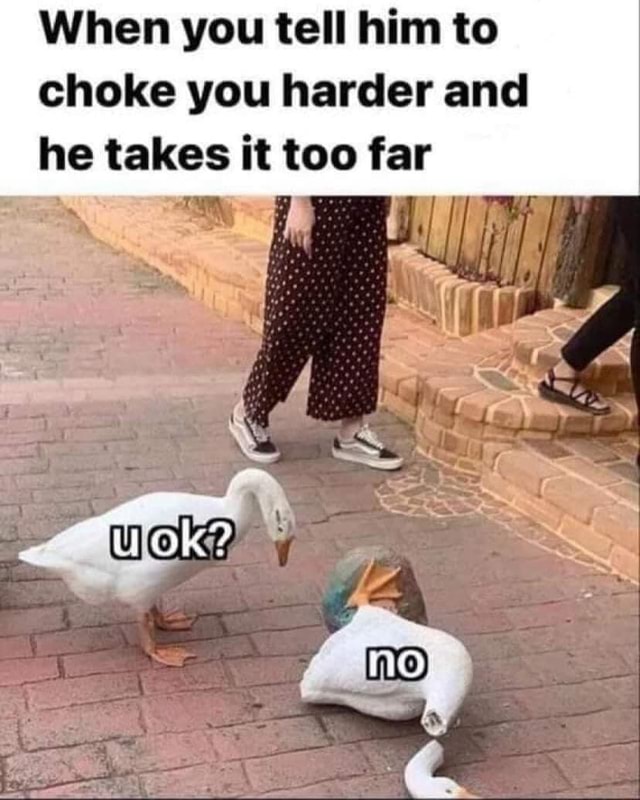 When you tell him to choke you harder and he takes it too far - iFunny
