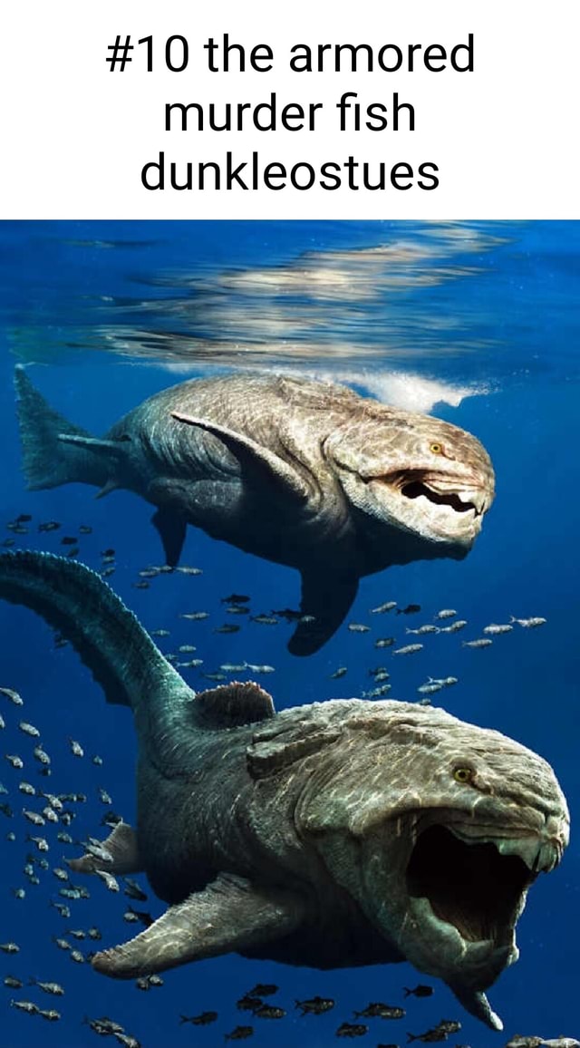 #10 the armored murder fish dunkleostues at - iFunny