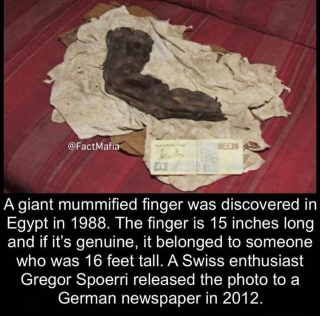 A giant mummified finger was discovered in Egypt in 1988. The finger is ...