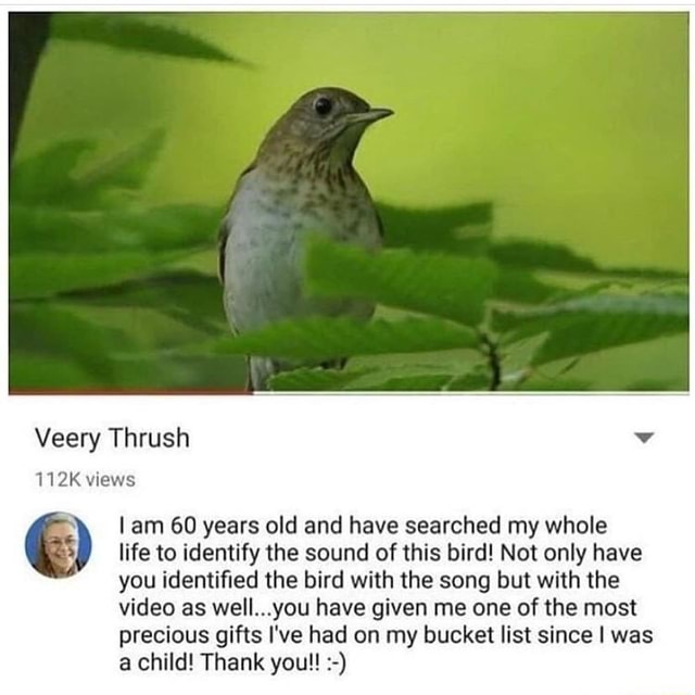 Veery Thrush 112K views am 60 years old and have searched my whole life ...