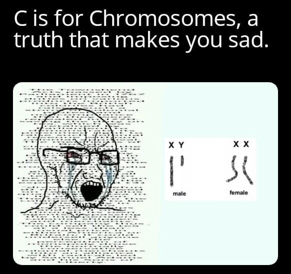 Cis for Chromosomes, a truth that makes you sad. - America’s best pics ...