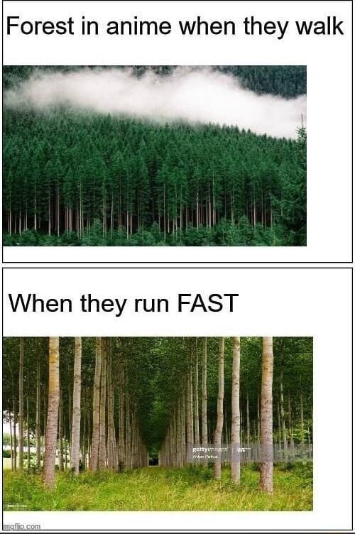Forest in anime when they walk When they run FAST - iFunny