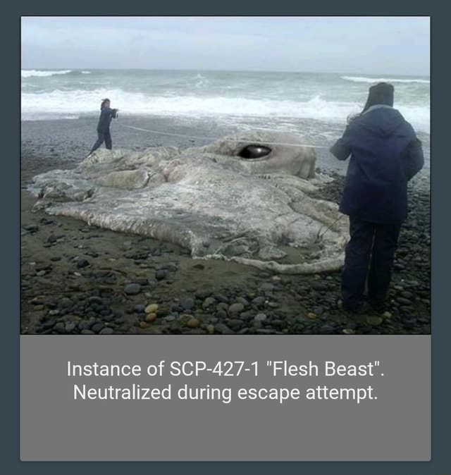 Instance of SCP-427-1 "Flesh Beast". Neutralized during escape attempt ...