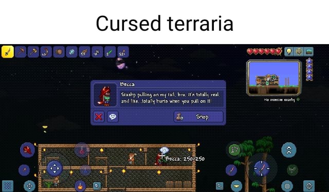 Cursed terraria I Staahp pulling on my tail, bro, it's totally real ...