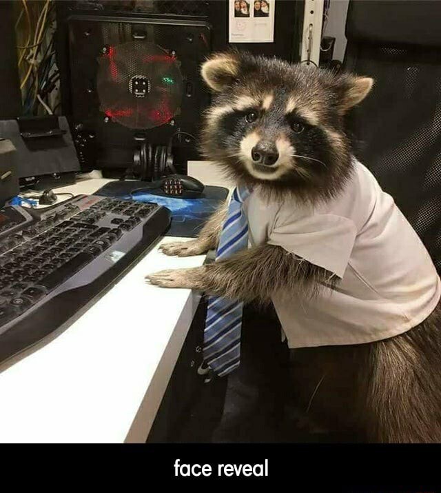 Face reveal - face reveal - iFunny