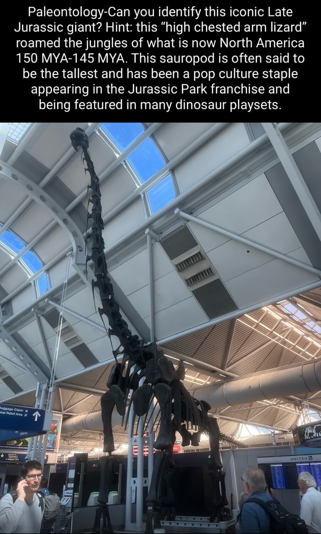 Paleontology-Can you identify this iconic Late Jurassic giant? Hint ...