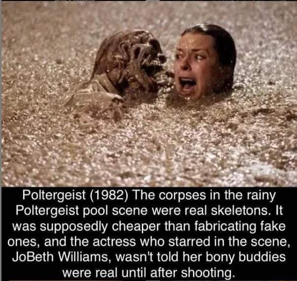 Poltergeist (1982) The corpses in the rainy Poltergeist pool scene were ...