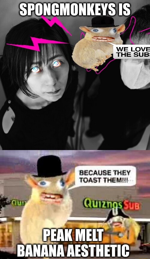 SPONGMONKEYS IS WE LOVE THE SUB: BECAUSE THEY TOAST THEM!!! PEAK MELT ...
