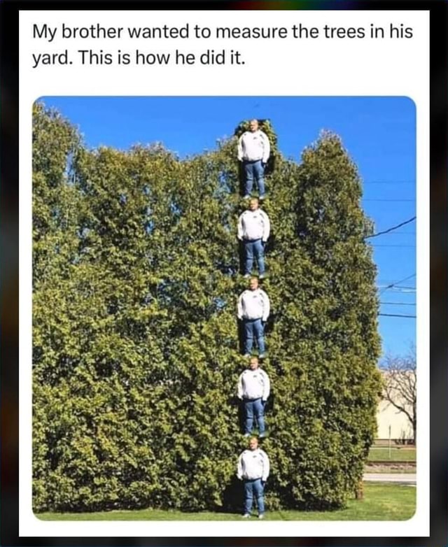 My brother wanted to measure the trees in his yard. This is how he did ...