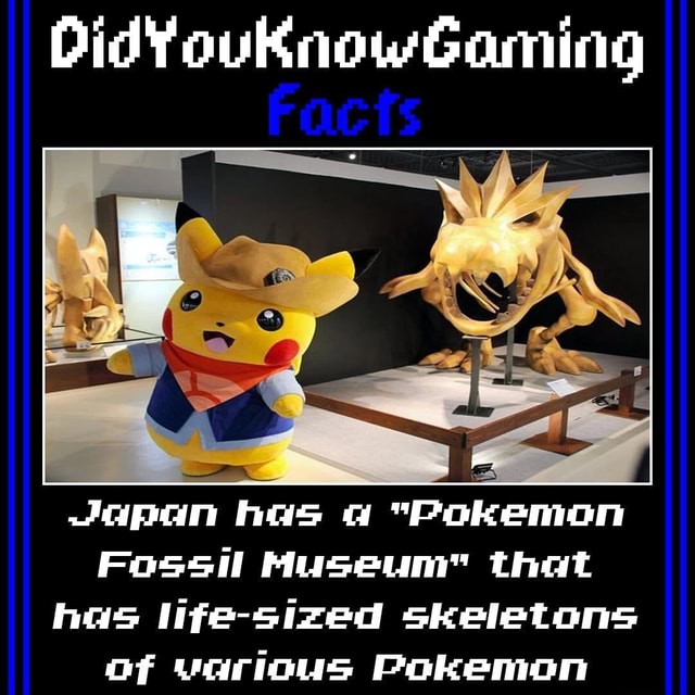 DidYouKnowGGaming Facts Japan hes "Pokemon Fossil Museum" that hes life ...