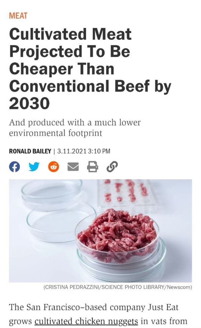 MEAT Cultivated Meat Projected To Be Cheaper Than Conventional Beef by ...
