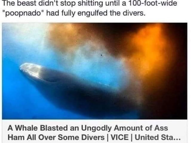The beast didnt stop shitting until a 100-foot-wide "poopnado" had ...