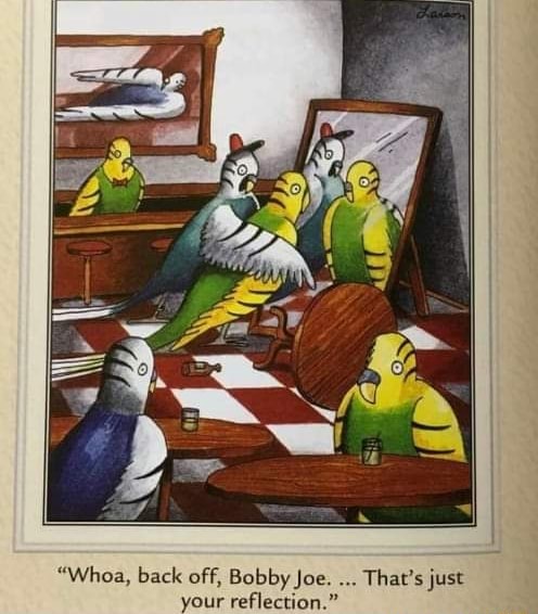 Just That' "Whoa, back off, Bobby Joe. That's just your reflection ...