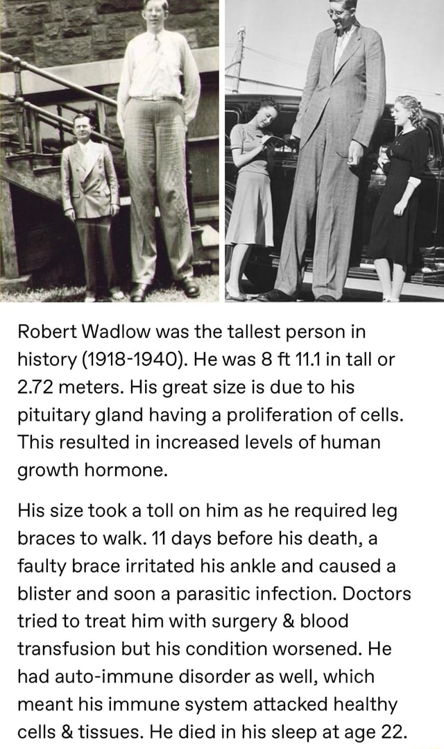 Robert Wadlow was the tallest person in history (1918-1940). He was 8 ...