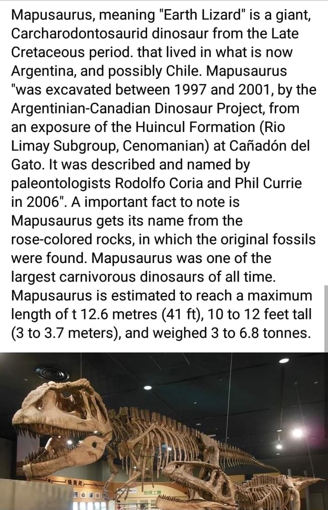 Mapusaurus, meaning "Earth Lizard" is a giant, Carcharodontosaurid ...