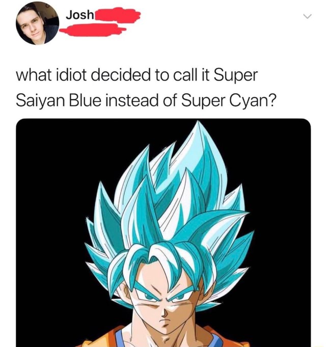 What idiot decided to call it Super Saiyan Blue instead of Super Cyan ...