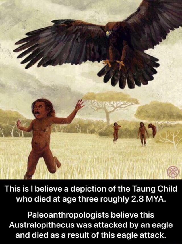 This is I believe a depiction of the Taung Child who died at age three ...