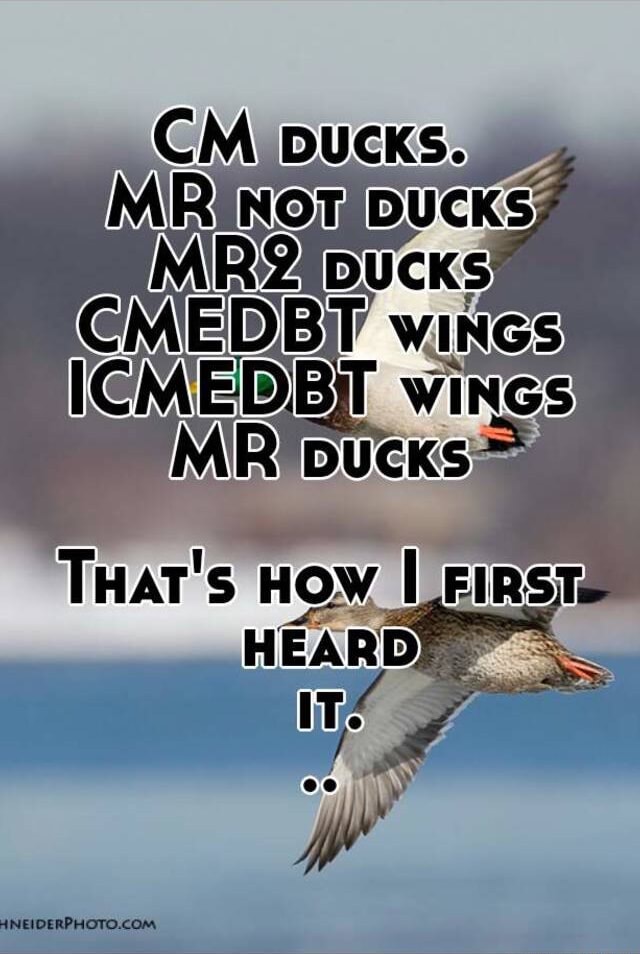 (CM\ BUEE, hor PUES (ch MEDBI LInNes [I CMTD WINGS) DUCKS Thee's mex I ...