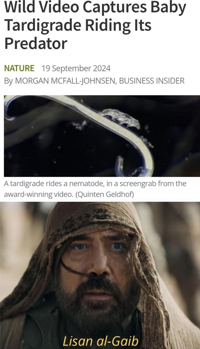 Wild Video Captures Baby Tardigrade Riding Its Predator NATURE 19 ...