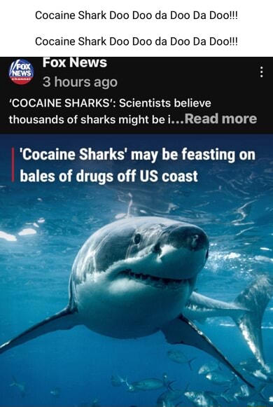 Cocaine Shark Doo Doo da Doo Da Doo!!! Cocaine Shark Doo Doo da Doo Da ...