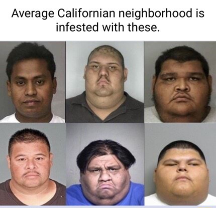 Average Californian neighborhood is infested with these. - iFunny