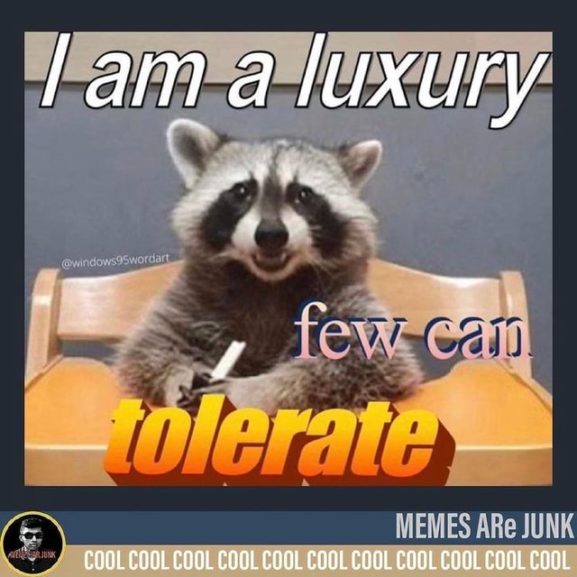 /am a luxury MEMES ARe JUNK PNN CHO COn rANI PNN Con POn cron rnn cnn ...