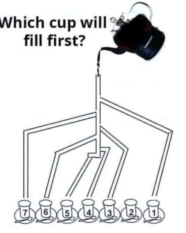 Which cup will fill first? all I - iFunny
