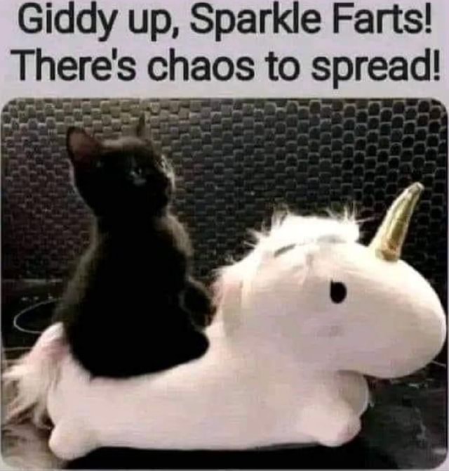 Giddy up, Sparkle Farts! There's chaos to spread! - America’s best pics ...