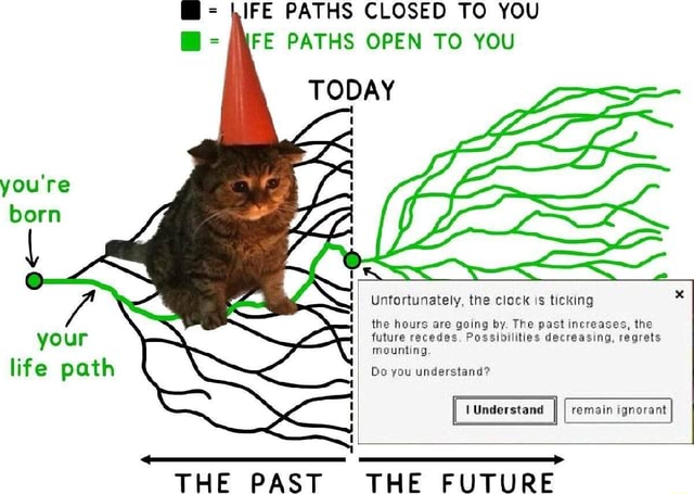 IFE PATHS CLOSED TO YOU Ll=/ FE PATHS OPEN TO YOU I Unfortunately, the ...