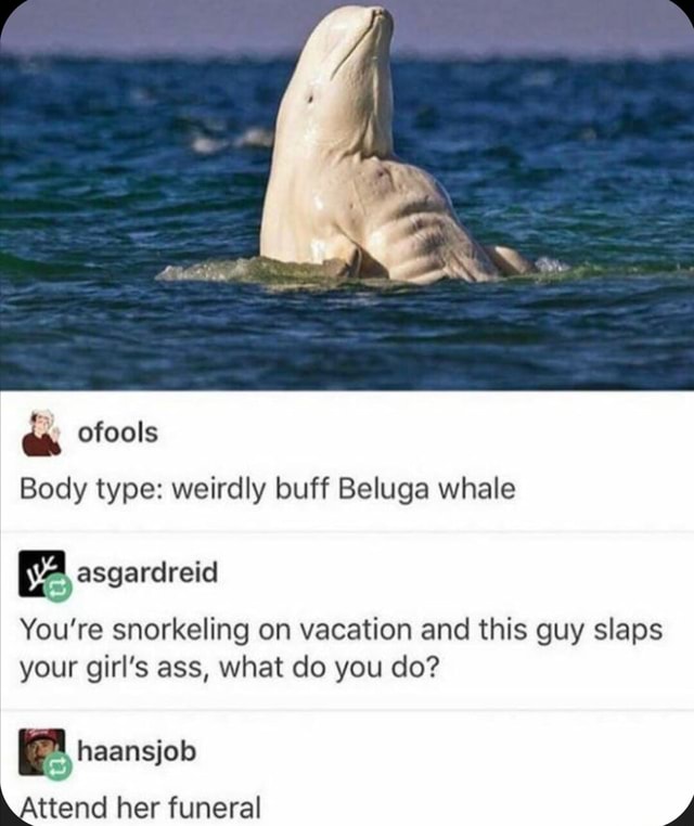 Ofools Body type: weirdly buff Beluga whale EA, asgardreid You're ...
