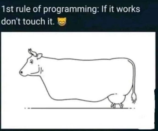 Rule of programming: If it works don't touch it. - iFunny