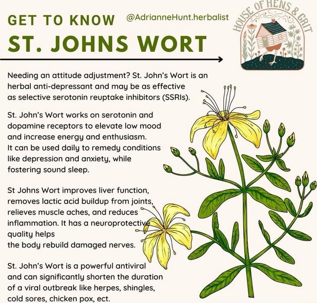 GET TO KNOW @AdrianneHunt.herbalist ST. JOHNS WORT Needing an attitude ...