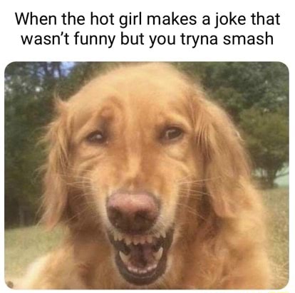 When the hot girl makes a joke that wasn't funny but you tryna smash ...