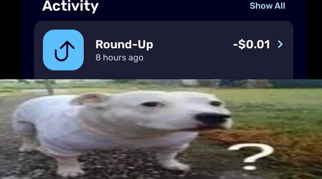 Activity Show All Round-Up -$0.01 > 8 hours ago - iFunny