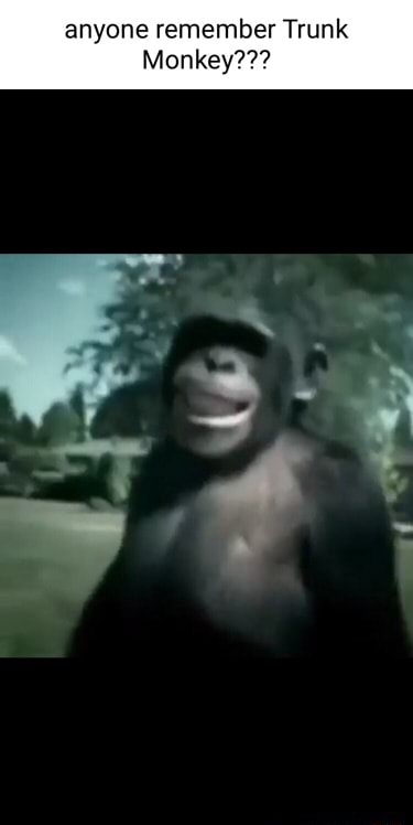 Anyone remember Trunk Monkey??? - iFunny