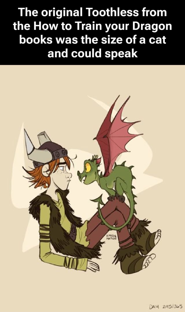 The original Toothless from the How to Train your Dragon books was the ...
