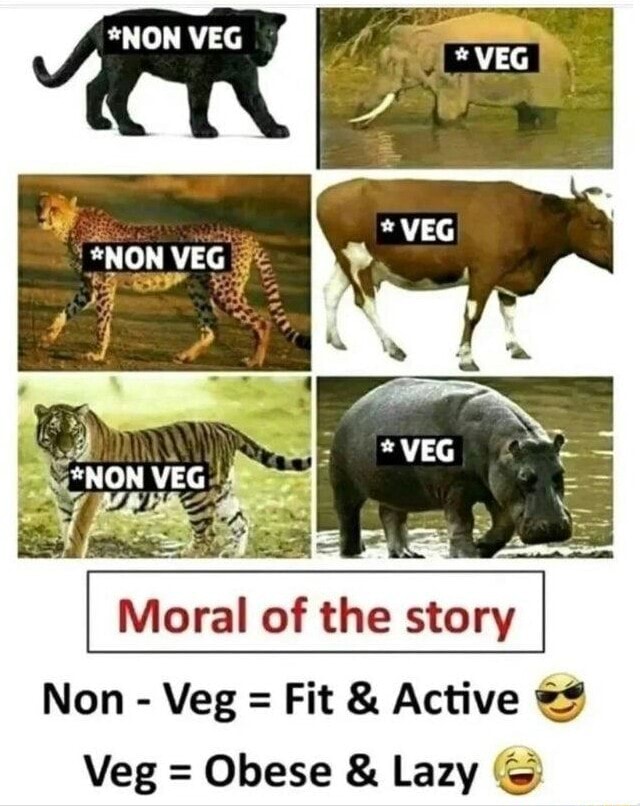 NON VEG "NON VEG Moral of the story Non - Veg = Fit & Active Veg ...
