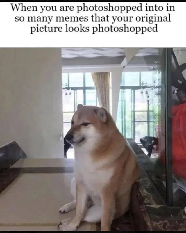 When you are photoshopped into in so many memes that your original ...