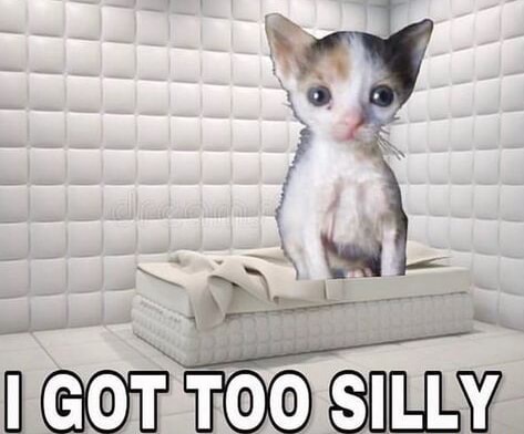 I GOT TOO SILLY - iFunny