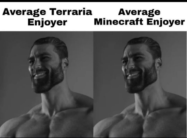 Average Terraria Average Minecraft Enjoyer - iFunny