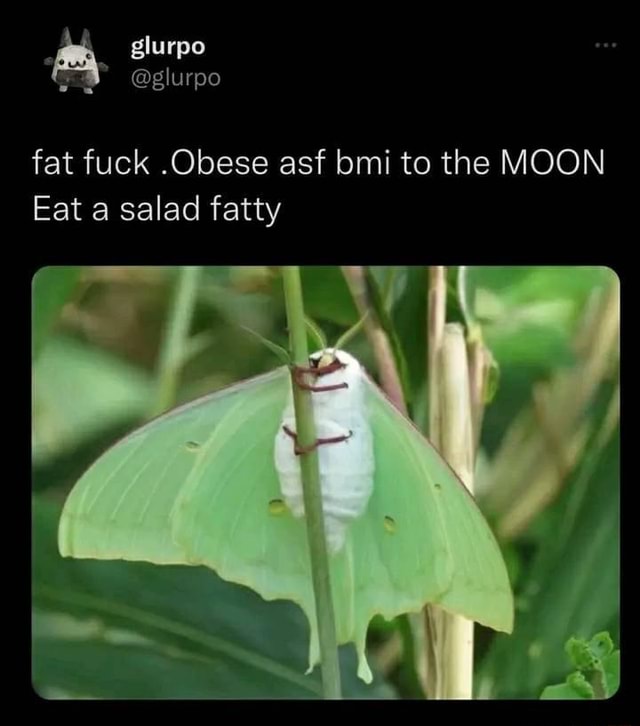 Fat fuck .Obese asf bmi to the MOON Eat a salad fatty - iFunny