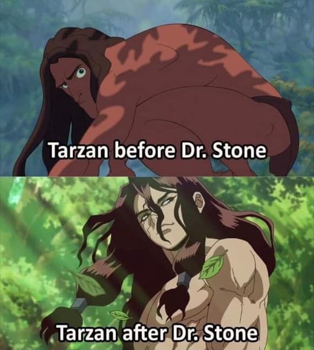 Tarzan before Dr. Stone Tarzan after Dr Stone - iFunny