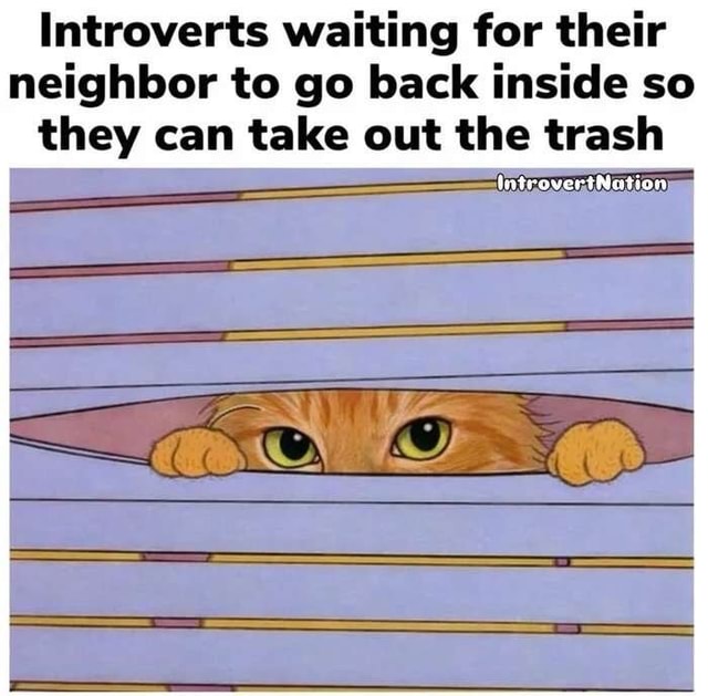 Introverts waiting for their neighbor to go back inside so they can ...