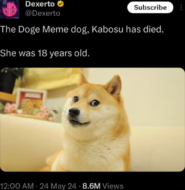 Dexerto Dexerto The Doge Meme dog, Kabosu has died. She was 18 years ...