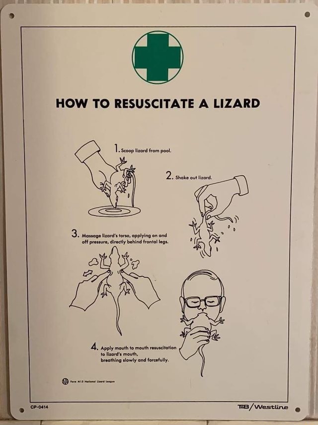 HOW TO RESUSCITATE A LIZARD rom 3. izard's pressure, torso, front on ...